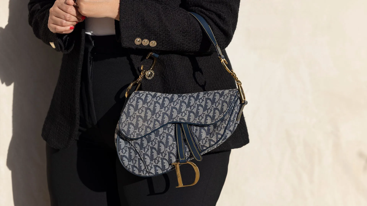From Equestrian Roots to Iconic Fashion: The DIOR Saddle Bag’s Legacy ...